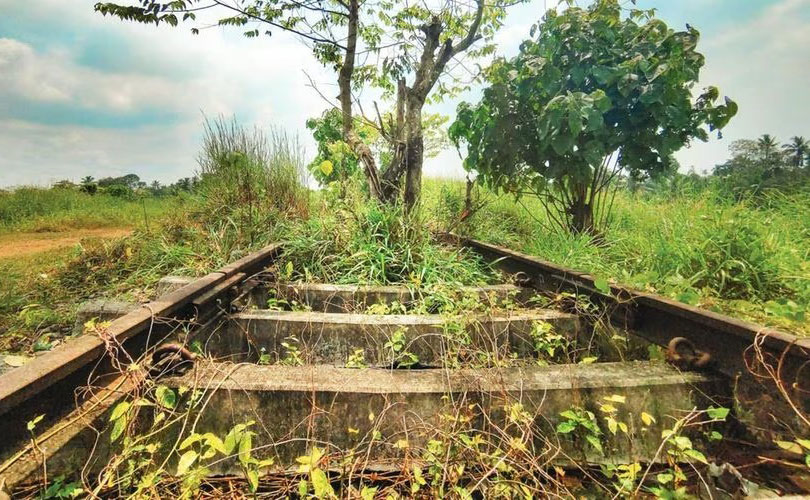 Sabari Rail Project Revived: A New Dawn for Central Kerala